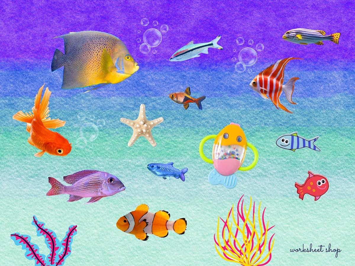 Visual Riddles - Worksheet Shop