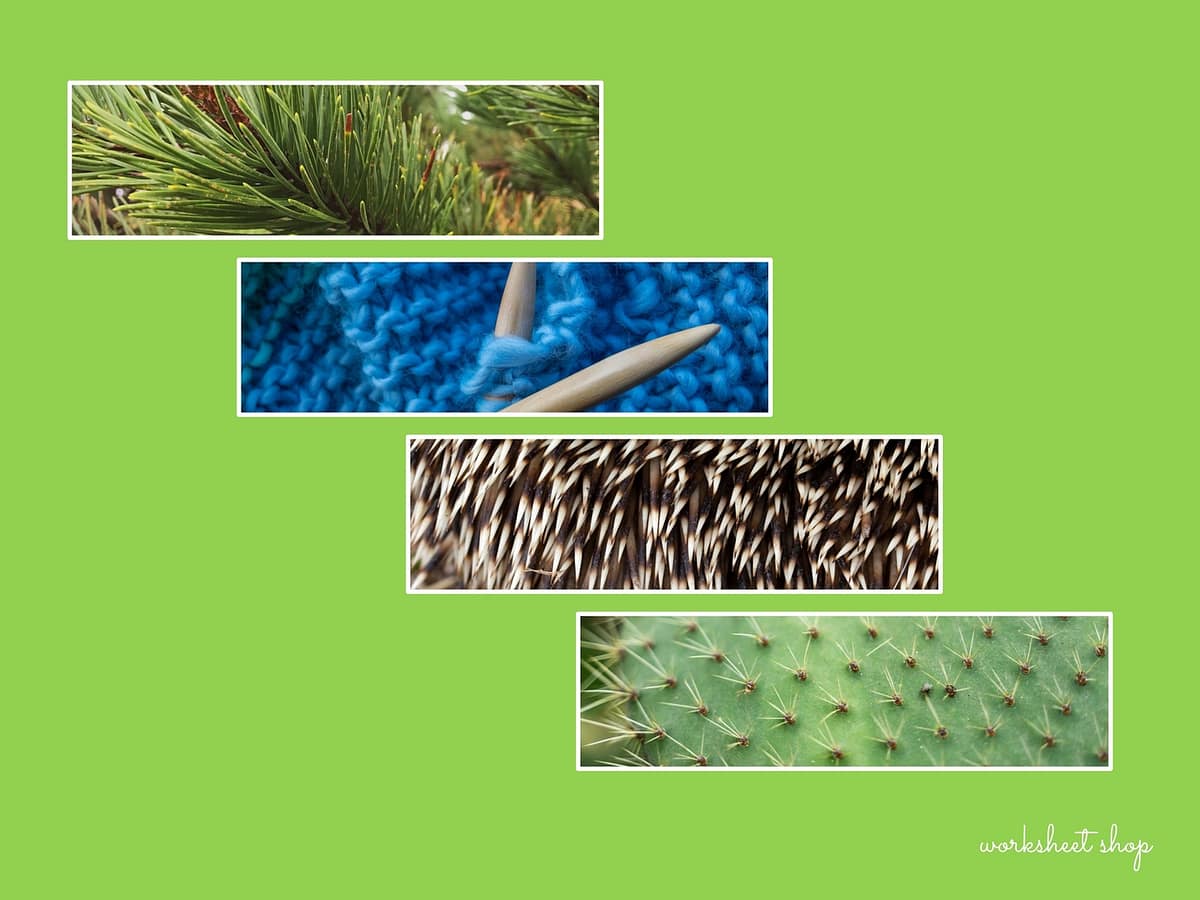 Visual Riddles - Worksheet Shop